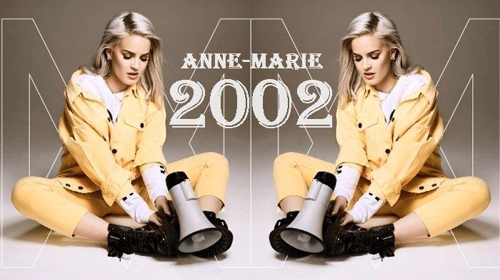 Lirik Lagu 2002 - Anne-Marie - 'Oops I Got 99 Problems Singing Bye Bye ...