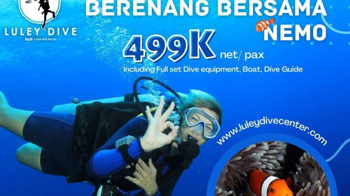 Luley Dive Center Tawarkan Promo Berenang Bersama Nemo, Hanya Rp 499.000 per Orang ...