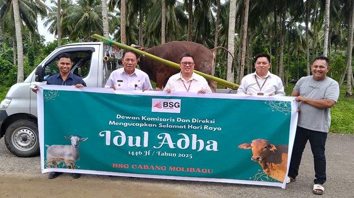 Jelang Idul Adha, Hewan Kurban di Bolsel Capai 209 Ekor, Pemerintah Pastikan Kesehatan Terjaga ...