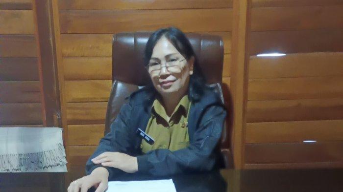 Harta Kekayaan Nova Rompas Kepala Dinas Koperasi, Usaha Kecil dan ...