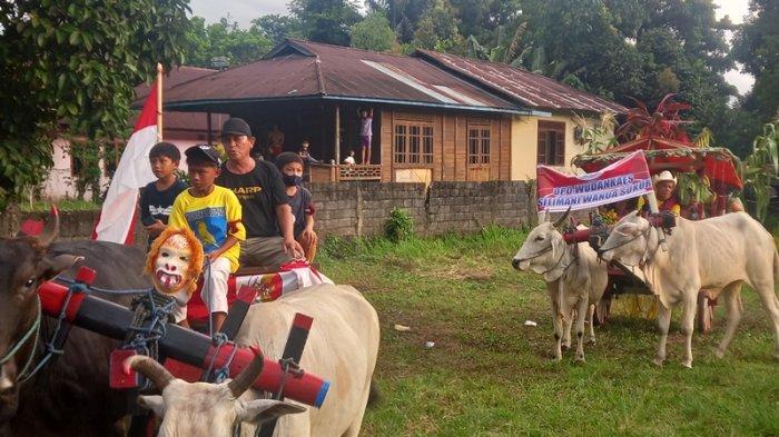 Rayakan HUT ke-143 Sukur Minut, Pemerintah dan Masyarakat Gelar Pawai ...