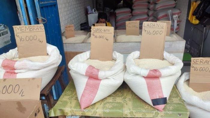Harga Beras di Manado Sulut Turun Rp16 Ribu per Kilogram Pembeli Tetap Mengeluh, Ini Penyebabnya ...