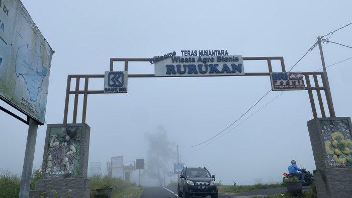 Berita Foto: Potret Dikala Kabut Membekap Perkebunan Rurukan di Tomohon ...