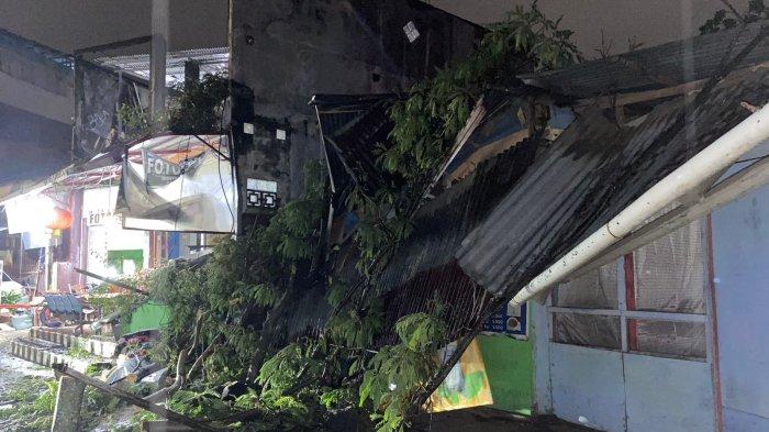 BREAKING NEWS: Pohon Besar Roboh Menimpa Bangunan di Jalan Kampus Barat ... BREAKING NEWS: Pohon Besar Roboh Menimpa Bangunan di Jalan Kampus Barat ...