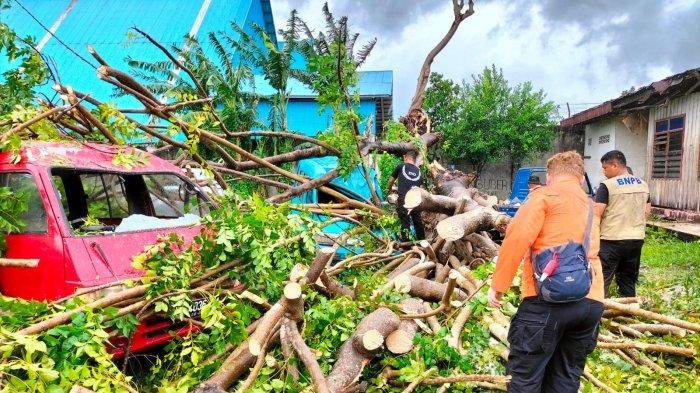 Daftar Lokasi Pohon Tumbang di Bitung Sulawesi Utara Akibat Cuaca ...