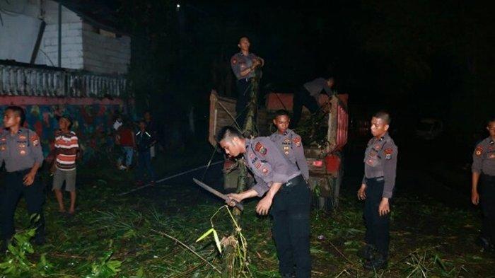 Pohon Tumbang di Manado, 30 Personel Samapta Polda Sulawesi Utara ...