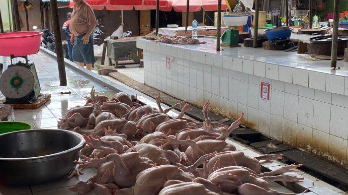 Harga Daging Ayam di Pasar Beriman Tomohon Sulawesi Utara Kembali Naik ...