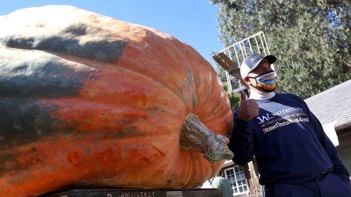 Potret Labu Berukuran Raksasa Diberi Nama 'Michael Jordan', Begini Cara ...