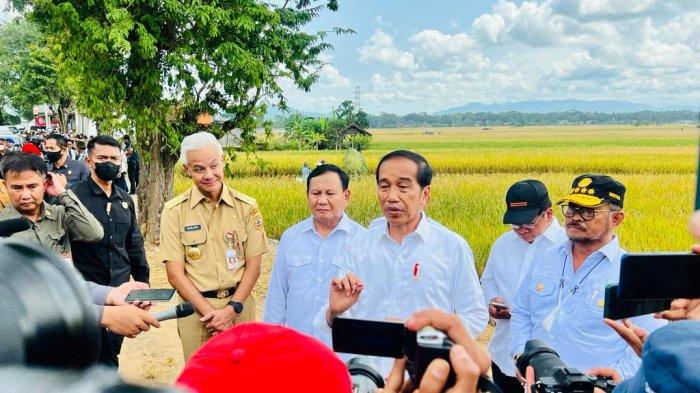 Usai Panen Padi Bersama Presiden Jokowi, Mentan Syahrul Yasin Limpo Dorong Percepatan Tanam ...