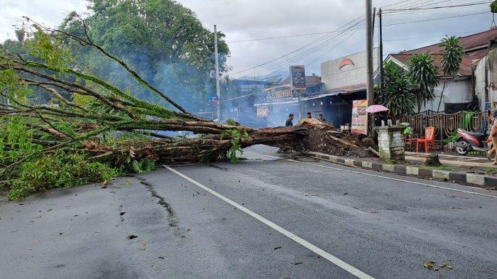 BREAKING NEWS Cuaca Ekstrem, Satu Pohon di Jalan Sam Ratulangi Manado ...