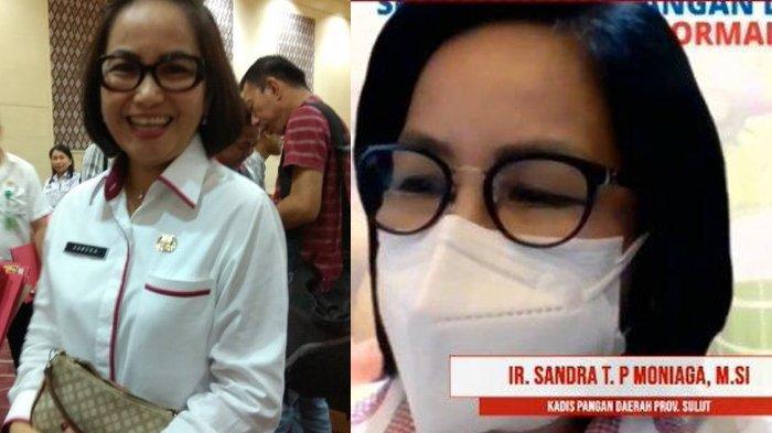 Sosok Sandra Moniaga, Pernah Non Job 11 Bulan, Kini Dilantik Jadi ...