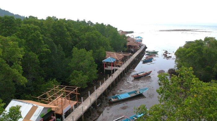 Potret Keindahan Wisata Mangrove Park di Desa Darunu Minut Sulawesi ...
