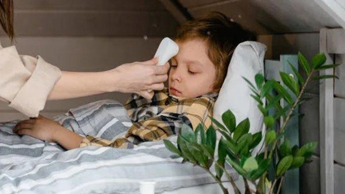 Tanda Penyakit DBD Sudah Menyerang Tubuh, Tetap Waspada, Simak ...