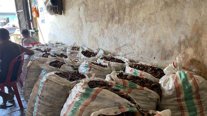 Kabar Gembira, Harga Kopra di Manado Sulawesi Utara Naik Jadi Rp 9.400 ...