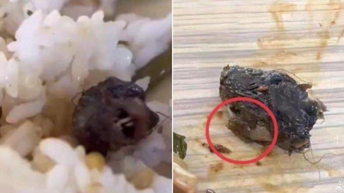 Detik-detik Mahasiswa Temukan Kepala Tikus di Makanan yang Dimakan di ...