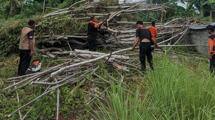 Cuaca Ekstrem, BPBD Beber Sejumlah Titik Lokasi Pohon Tumbang di Kota ...