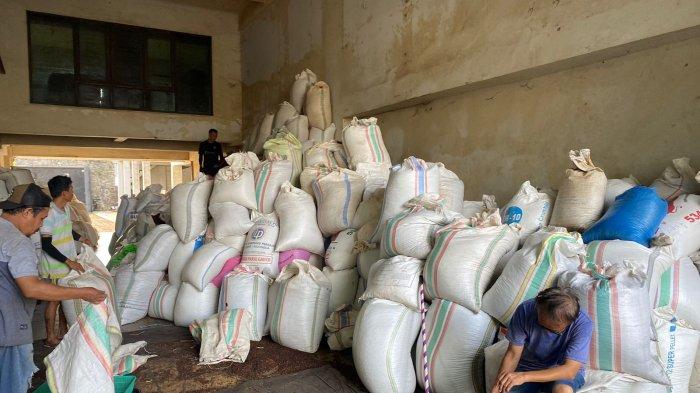 Update Harga Cengkih di Gudang Wanea Manado Sulawesi Utara Rabu 24 Juli ...