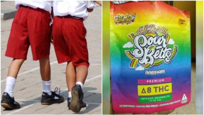 Viral 60 Bocah SD Rasakan Halusinasi dan Pusing, Ternyata karena Tak ...