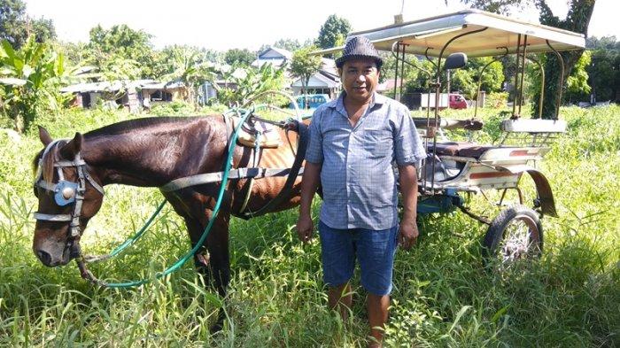 Kisah Alvian Noho, 20 Tahun Jadi Kusir Delman di Kota Manado, Bertahan ...