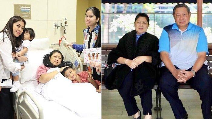 Ani Yudhoyono Meninggal Dunia, Berikut Fase Leukimia yang Harus Diketahui dan Cara Pencegahannya ...