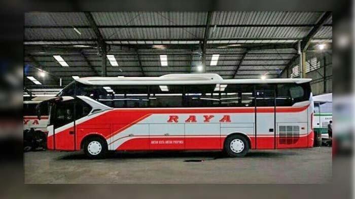 Info Terbaru Harga Tiket PO Raya, Lengkap Waktu Keberangkatan ...