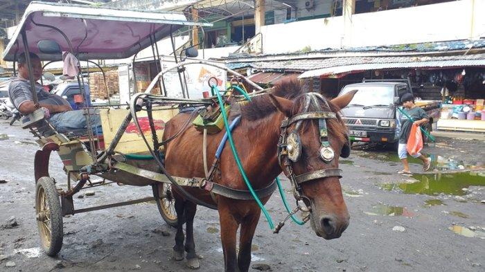 Sempat Menjadi Kendaraan Tradisional Andalan, 'Bendi' Masih Bertahan di ...