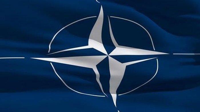 Ini Negara-negara yang Masuk NATO, Ada 30 Anggota, Berikut Daftarnya ...