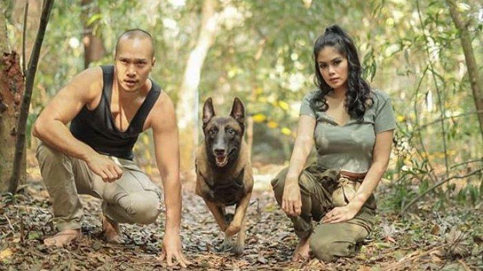 Anjing Bimo Aryo Terkam ART Hingga Tewas Saat Majikan Gelar Pesta ...