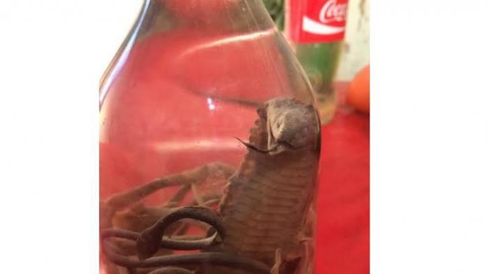 5 Varian Cap Tikus Populer di Manado, Ada Bakar Manyala hingga Campuran ...