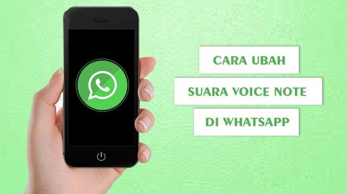 Tak Banyak yang Tahu, Cara Ampuh Atasi Voice Note WhatsApp Tidak Ada ...