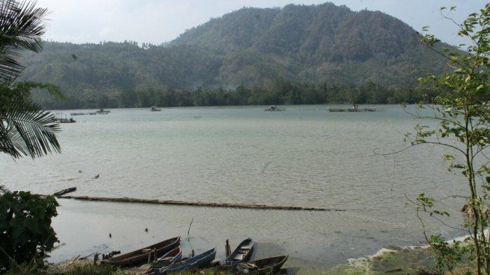 Kisah Warga dan Buaya Danau Buyat yang Janji Tak Saling Ganggu ...