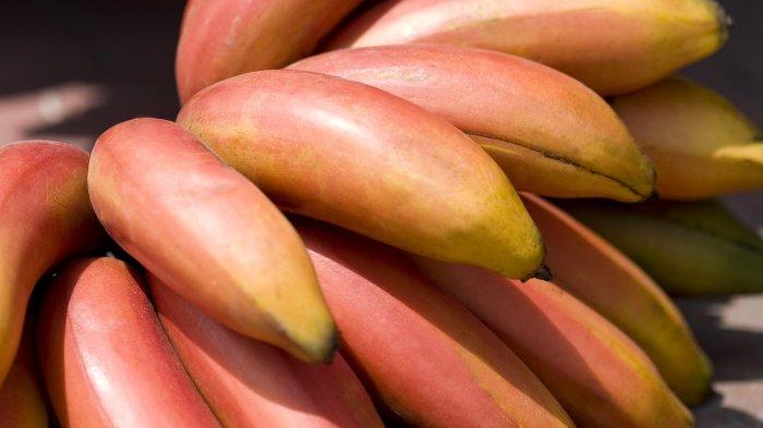 Jarang Dikenal Khasiatnya, Berikut Manfaat Pisang Merah bagi Tubuh ...