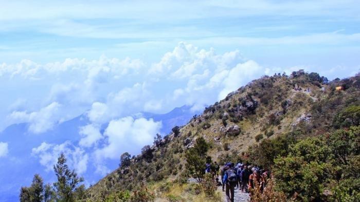Berikut 4 Jalur Pendakian Gunung Lawu, dari Cemoro Sewu hingga Singolangu - Tribunmanado.co.id