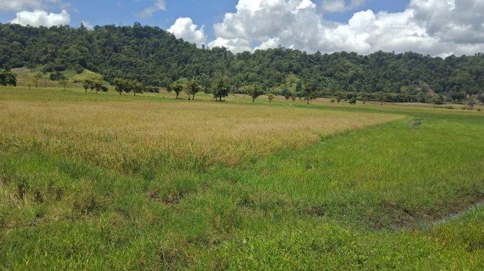 Penanaman Modal dan PTSP Bolmong Siapkan Peta Kawasan Potensi ...