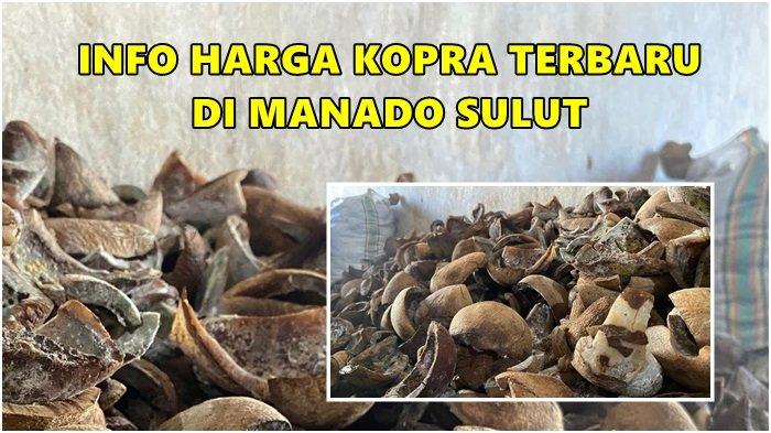 Harga Kopra Terbaru di Manado Sulawesi Utara, Masih Tinggi Bikin Untung ...