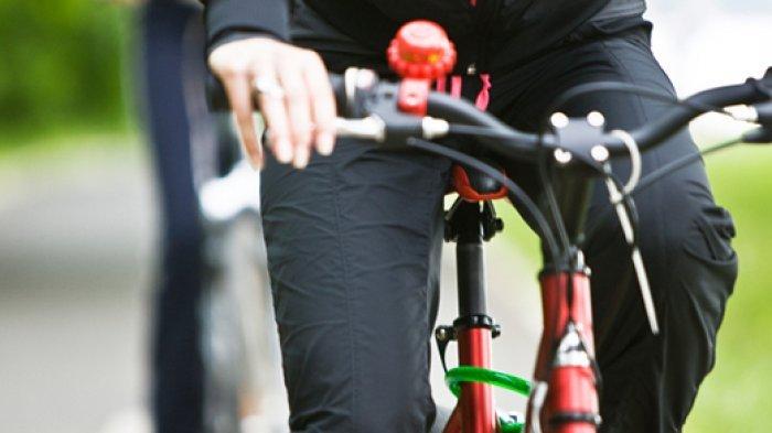 7 Daftar Sepeda Termahal di Dunia Tahun 2020, Harganya Melampaui ...