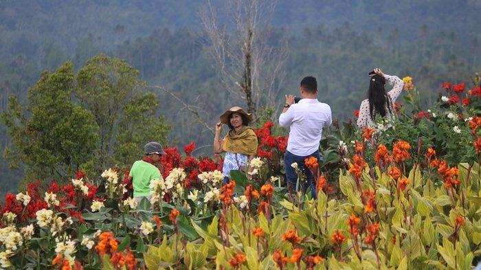 Nikmati Sunset Hingga Keindahan Hamparan Bunga di Taman Wisata Puncak ...