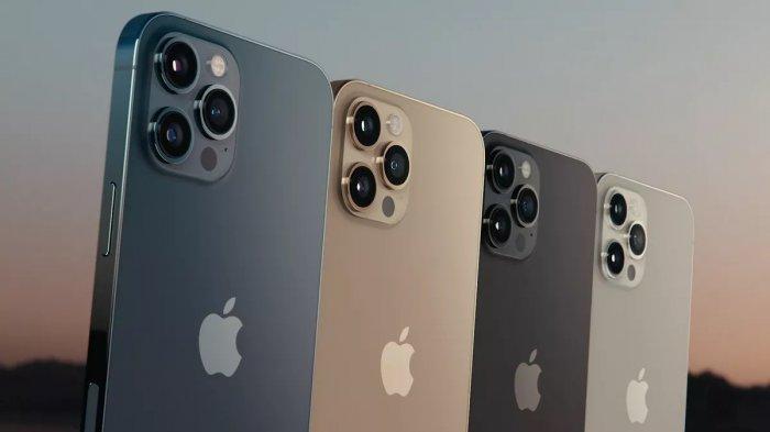 UPDATE, Daftar Harga Terbaru iPhone 12 Series Awal Februari 2021 ...
