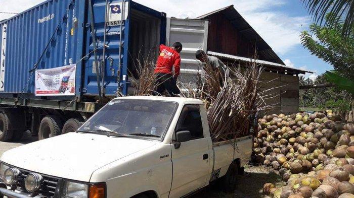 Harga Kopra di Bolmong Tembus Rp 11.000 per Kilogram - Tribunmanado.co.id