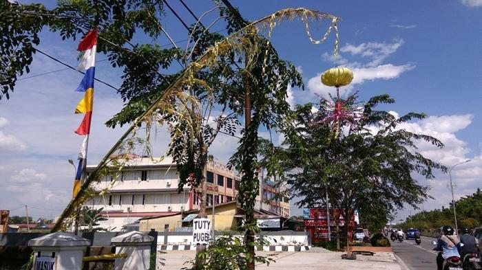 Kerap Jadi Penanda Pesta Pernikahan, Ini Makna dan Fakta Janur Kuning ...