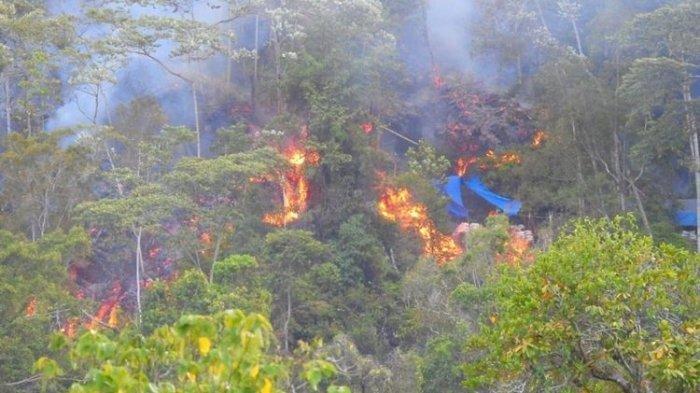 Tiga Orang Ditangkap Gakkum KLHK Diduga Lakukan Aktivitas Tambang Kawasan Hutan Produksi ...