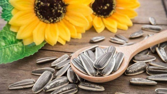 Manfaat Kuaci Bagi Kesehatan, Dapat Menurunkan Kadar Kolesterol ...