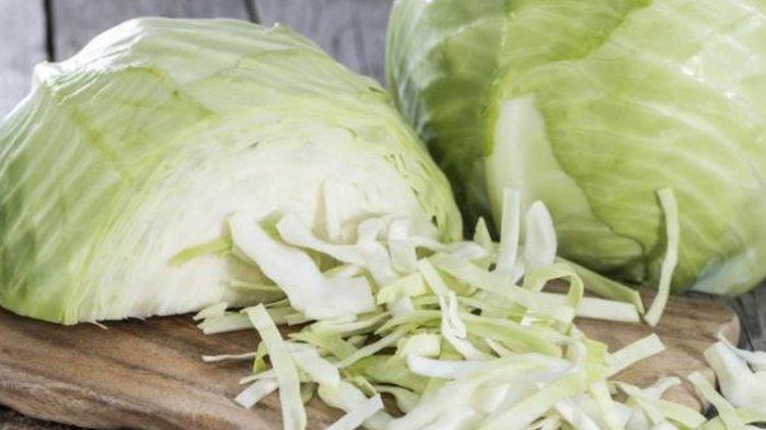 Mengenal Kubis, Sayuran Sederhana Pencegah kanker - Tribunmanado.co.id