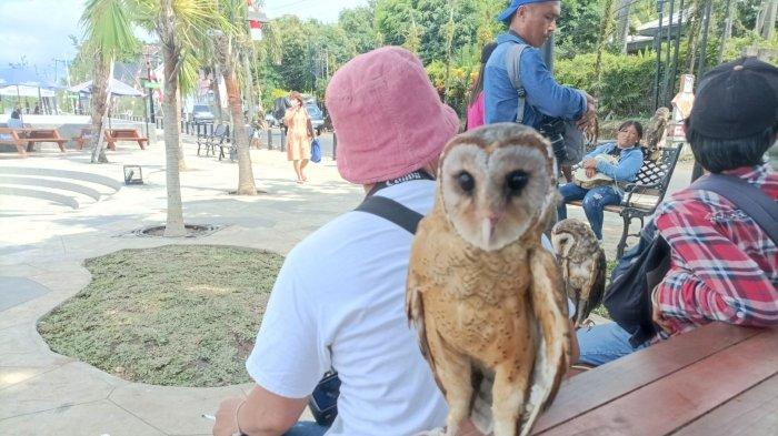 Menilik Wisata Manado Malalayang Beach Walk, Tukang Foto Keliling Cari ...