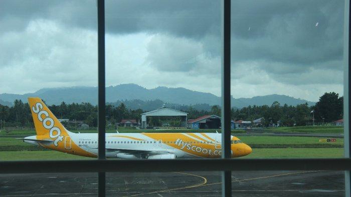 Scoot Tiger Air Tambah Jadwal Manado Singapura, Kini 3 Kali Seminggu ...