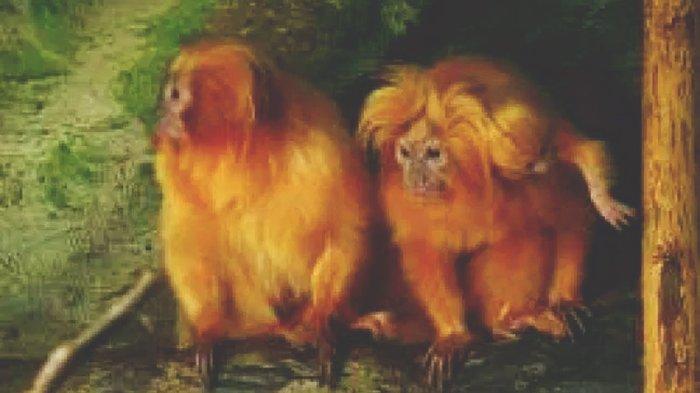 Penampakan Leluhur Monyet Dunia Lama, Bagian Tubuh Berusia 22 Juta ...