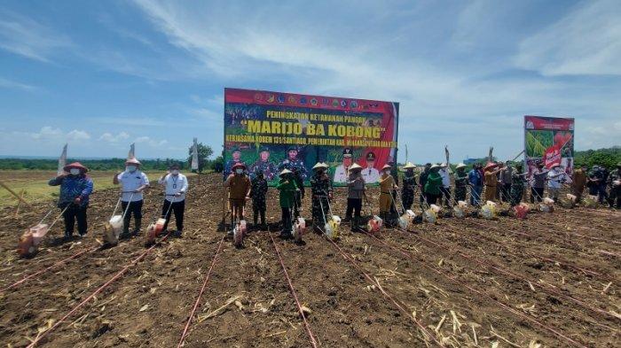 Korem 131 Santiago dan KTNA Minut, Bakal Hasilkan 657 Kg Benih Jagung ...