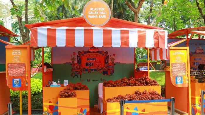 Mendapat Akses Permodalan, Petani Salak Binaan BRI di Bali Perluas ...