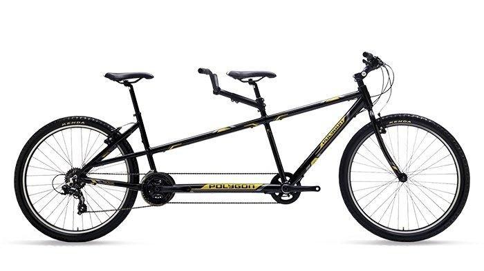 UPDATE, Harga dan Spesifikasi Sepeda Tandem Polygon, Dijual Mulai Rp 5 ...