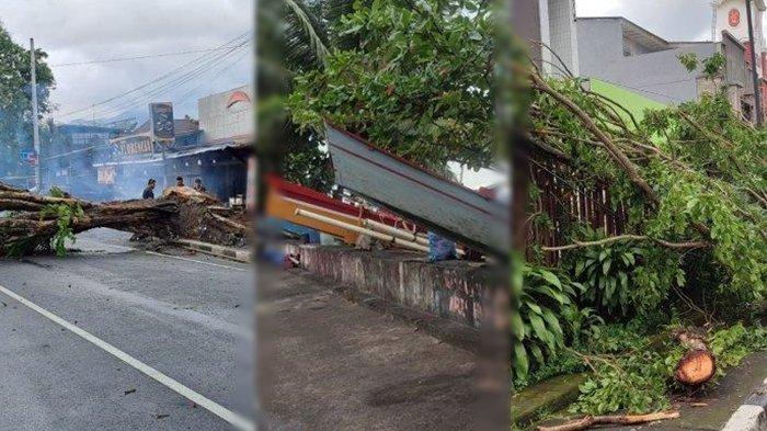 Populer Sulut: Pohon Tumbang di Jalan Sam Ratulangi hingga Nelayan ...